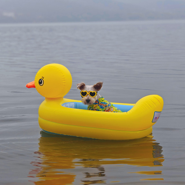 Dog swimming ring pet water floating bed small dog teddy corgi swimming ...