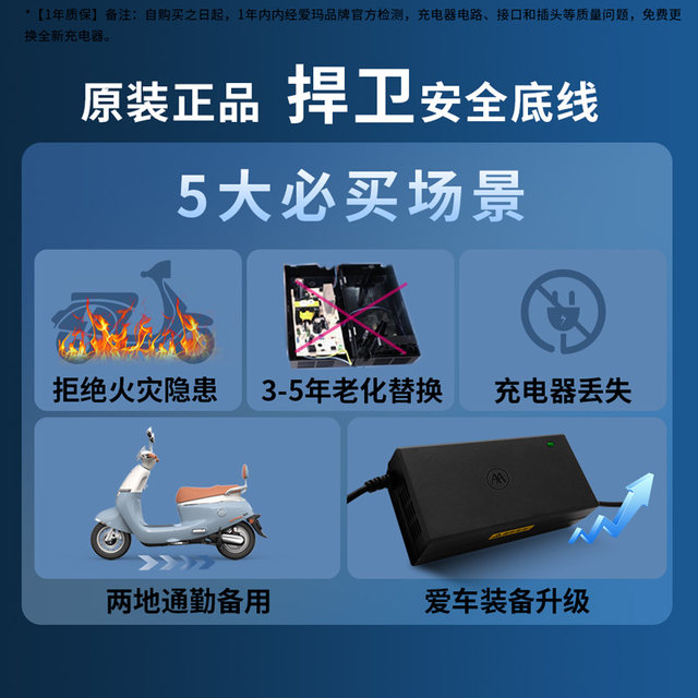 Emma electric tricycle charger original official authentic lead-acid ...