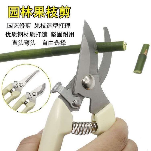 Special scissors for pruning, German twig shears, labor-saving pruning scissors, gardening ...