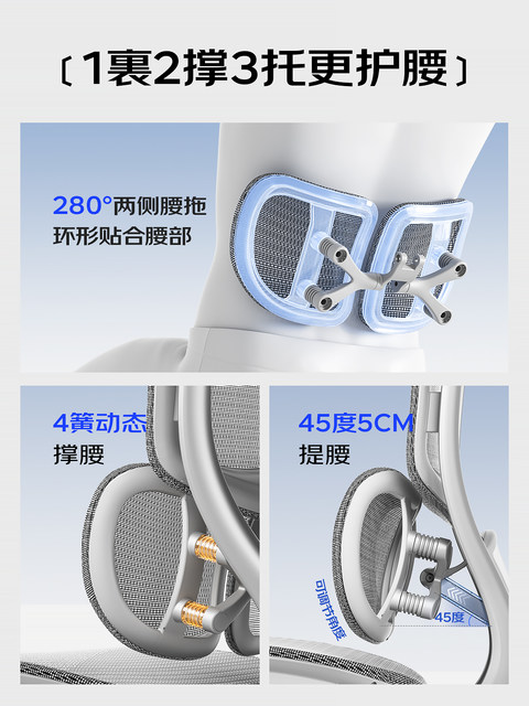 ERGOUP/Youpu Wisdom A1 Ergonomic Chair Office Chair, Waist Lama ...