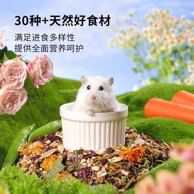 Kano hamster food dwarf nutrition staple food mealworm dry feed staple ...