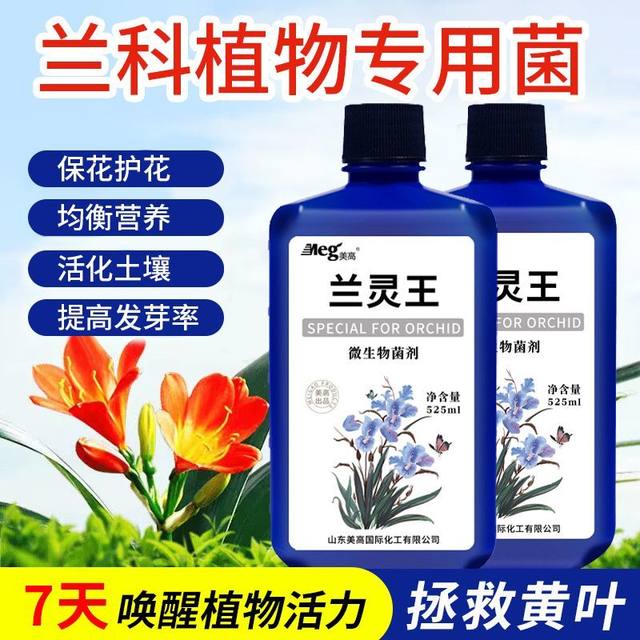 Lanlingwang orchid special fertilizer orchid clivia phalaenopsis ink ...