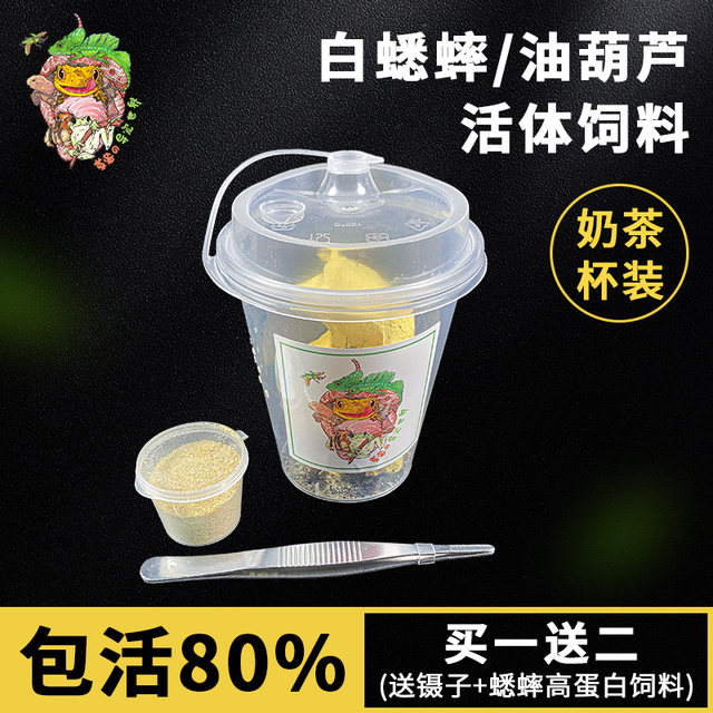 Milk Tea Cup Plear Live Oil Cucurient Oil Hulfa Lizard Lizard Lizard ...