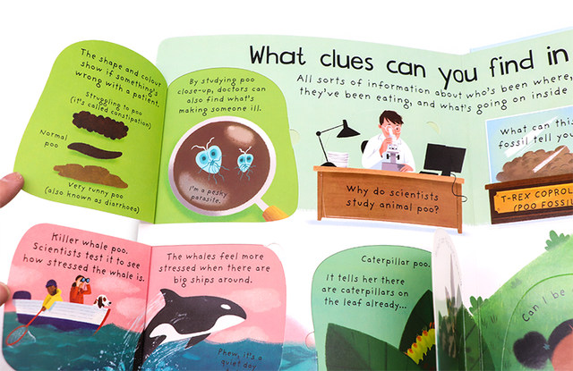 Usborne Questions and Answers Series Where to Go Poop First Questions ...