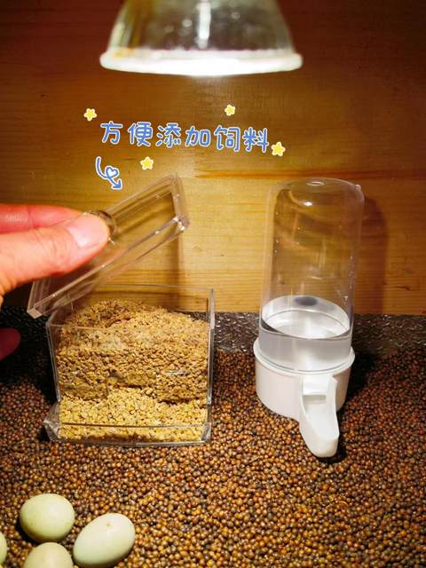 Rudin Chicken Transparent Box Drinking Sink Feeder Chicken Square Box ...