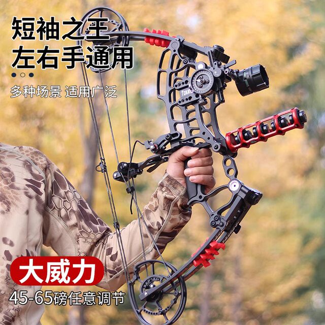 Lightning Wolf Villain dual-purpose steel ball bow outdoor archery ...