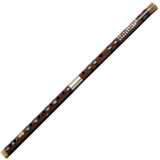 Dong Shenghua flute beginner adult zero-based sandalwood refined flute ...