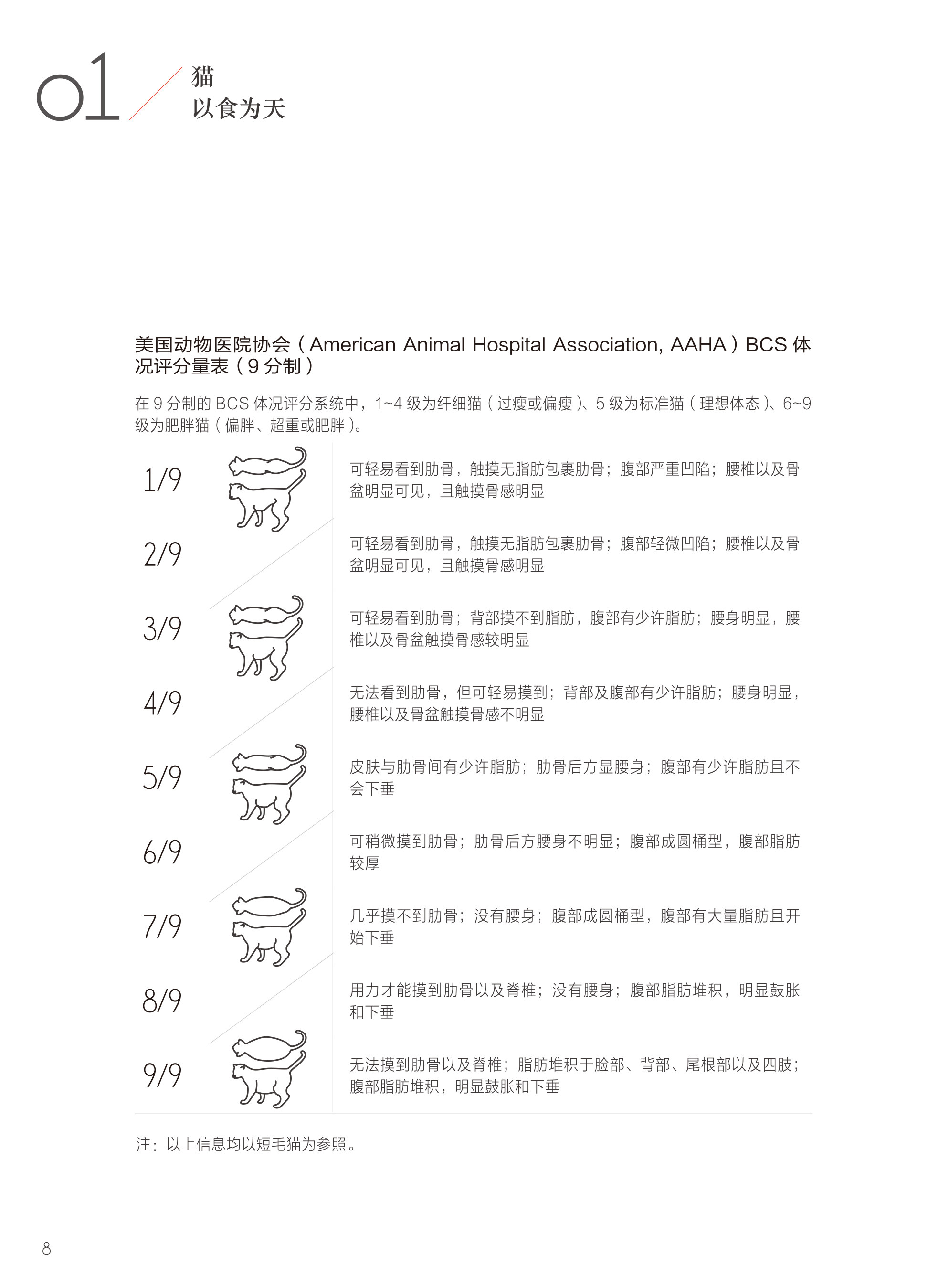 Genuine cat drinking and cat food Cat scientific breeding Bible Pet ...