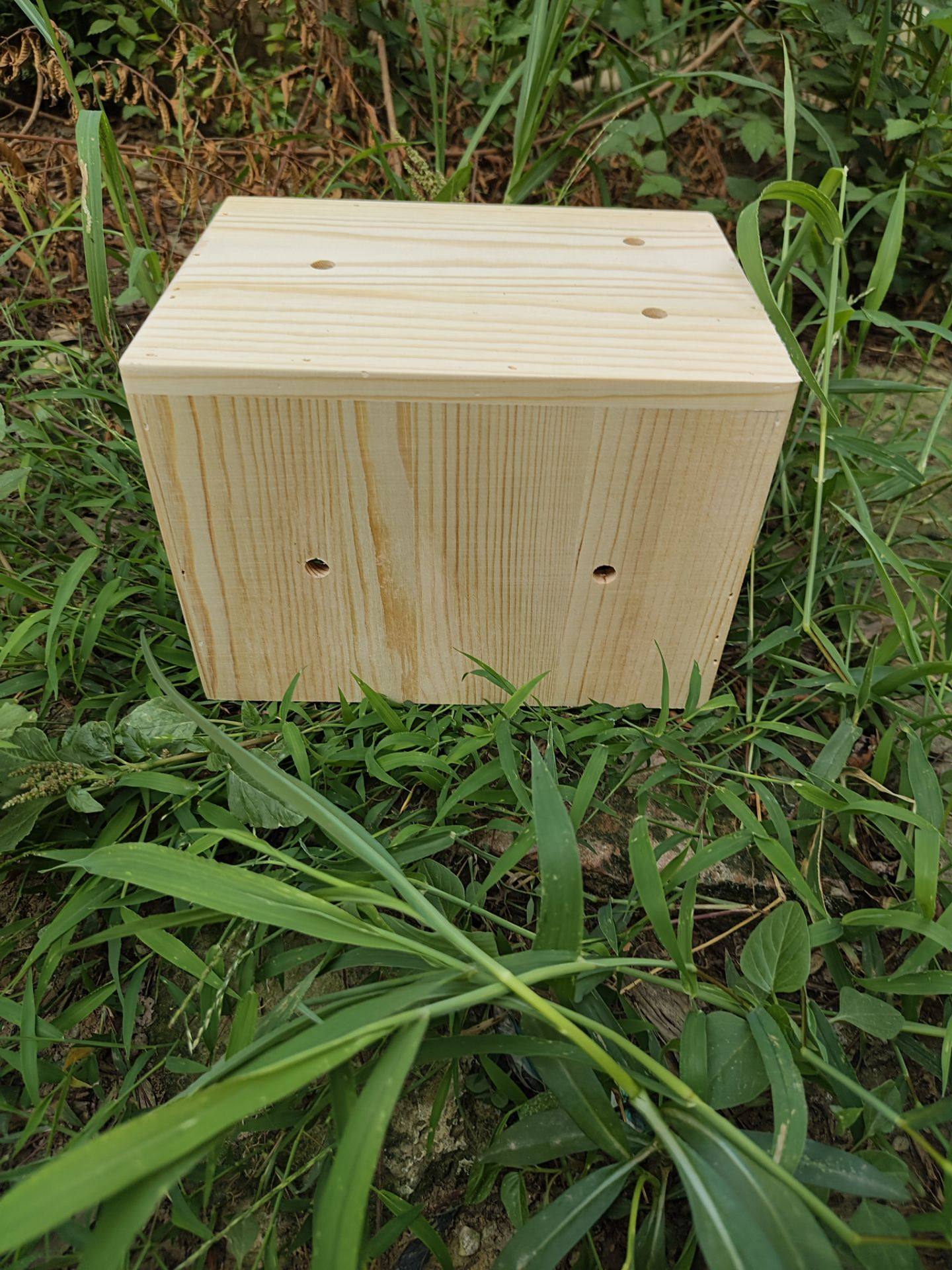 Mesh removal and maintenance of solid wood bird nest tiger bark peony ...