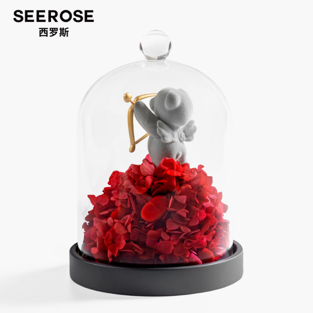 SEEROSE Preserved Flowers, Preserved Roses, Cupid Bears, Valentine's ...