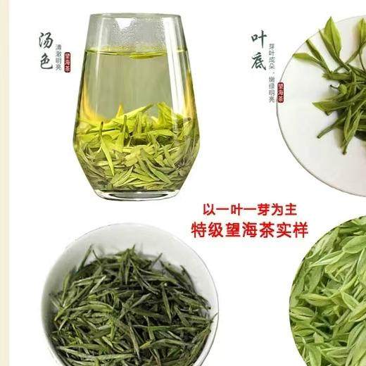 Wanghai Tea 2024 Ningbo Specialty Wanghai Tea Alpine Green Tea 250g ...