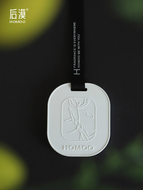 Homoo simple style diffuser stone car aromatherapy indoor wardrobe ...