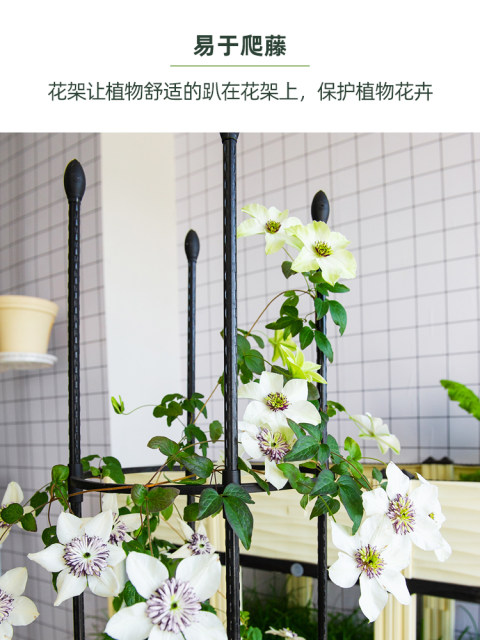 Climbing rattan flower stand wrought iron column gardening pillar rose ...