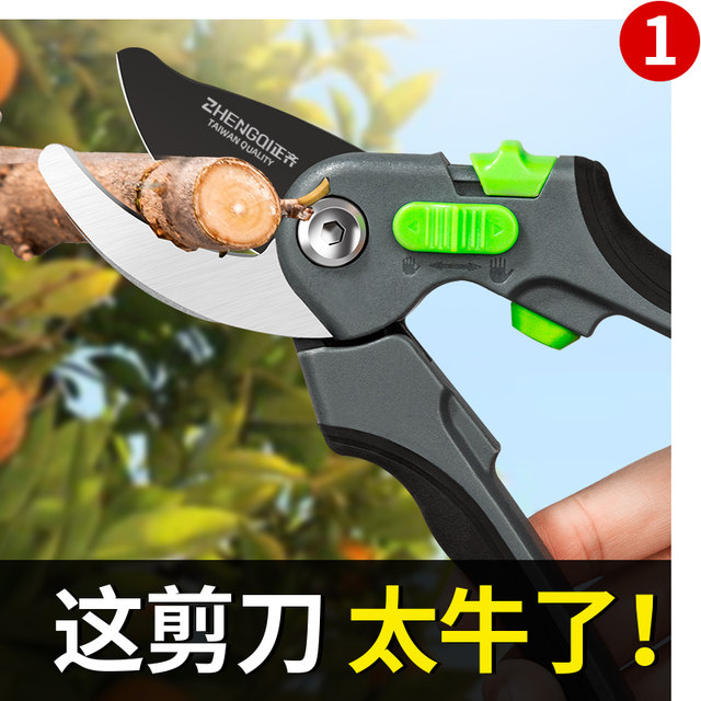 Pruning shears, fruit tree scissors, gardening pruning shears, special ...