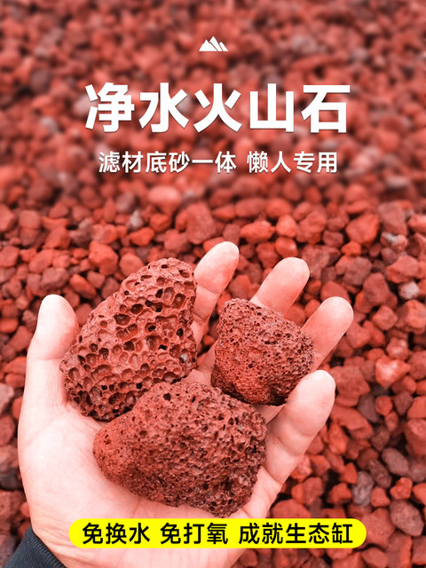 Volcanic stone fish tank special water grass mud ecological fish tank ...