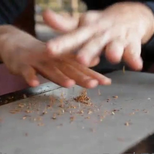 Bacon Magic Human Body Generator Electric Touch+ New Version High-tech ...