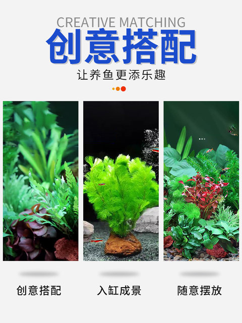 Volcanic stone aquatic plant fish tank landscaping centipede grass ...