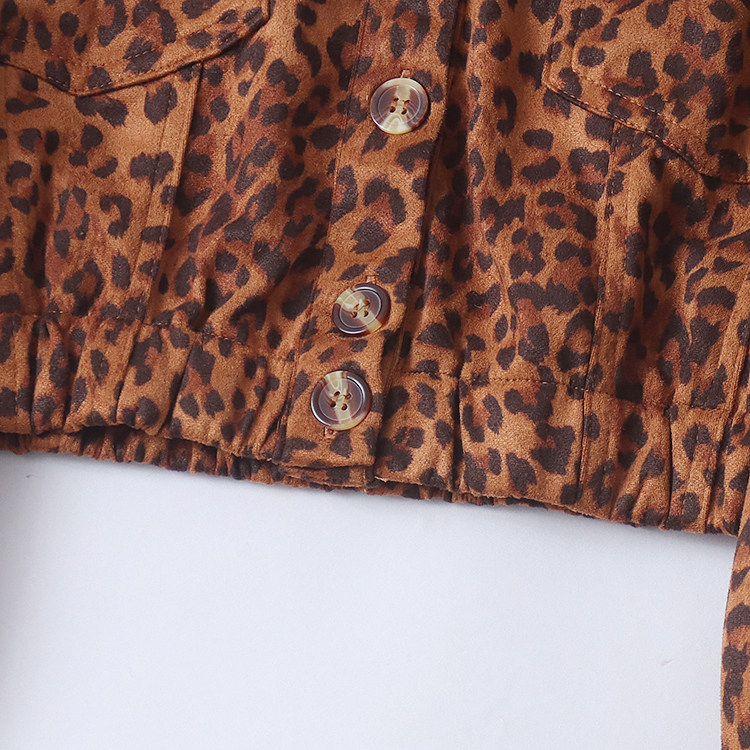 Fashionable leopard print short jacket Spring new style foreign trade ...