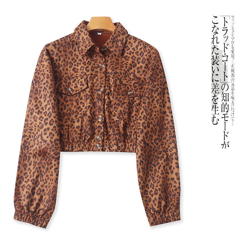 Fashionable leopard print short jacket Spring new style foreign trade ...