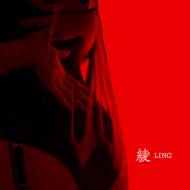 Aya Naturally Silky-Slim Shadow Light Velvet 15D Sexy Permeable Halter Neck Strap Stockings ...