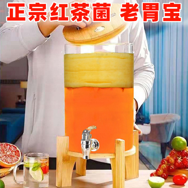 Authentic black tea strain Kombucha enzyme Mommy's stomach bacteria ...