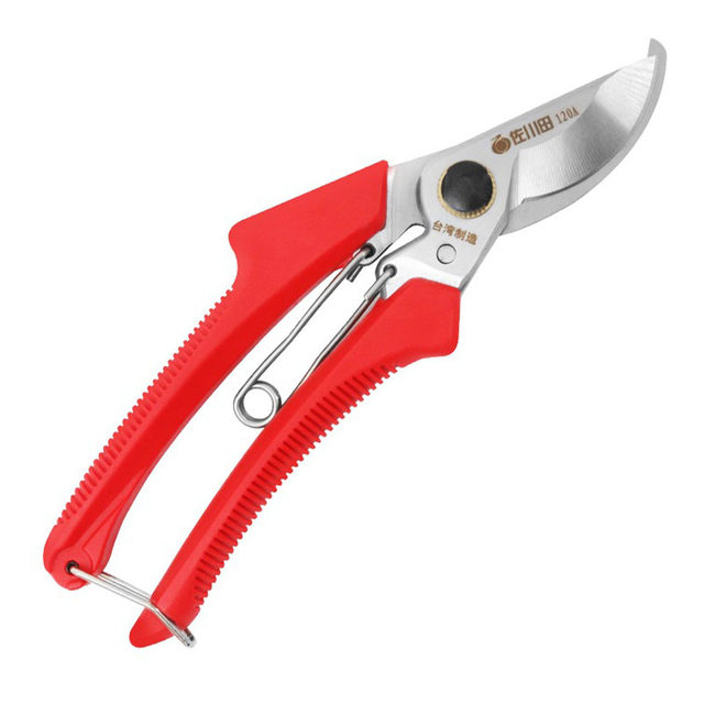 Sagawada Taiwan 120 branch pruning scissors fruit branch scissors ...