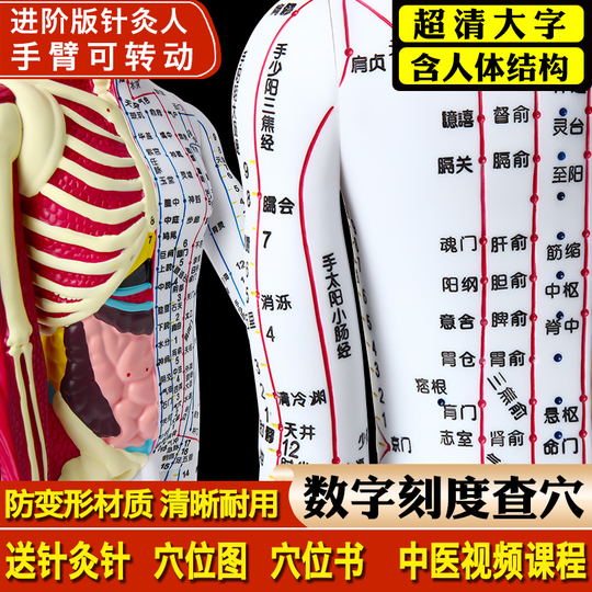 Traditional Chinese Medicine Acupuncture Model - Bronze Man Meridian Chart