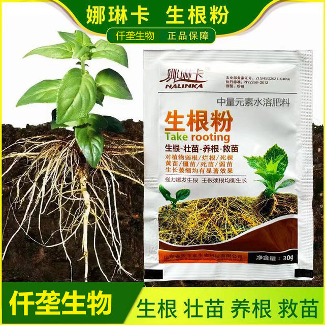 Powerful rooting powder, rapid rooting powder, universal plant, tree ...