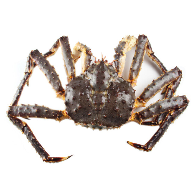 Fresh Emperor Crab 8JIN [Jin is equal to 0.5 kg] Emperor Emperor Crab ...