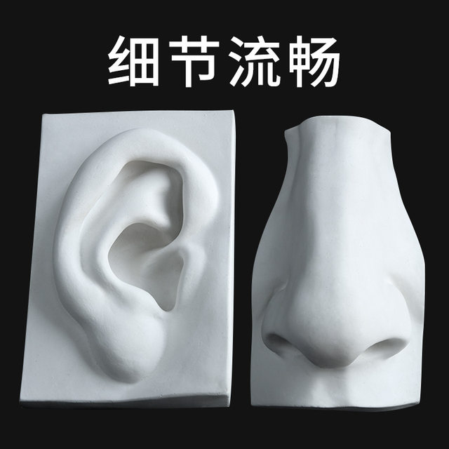 Left painting material art test set of David plaster facial features ...