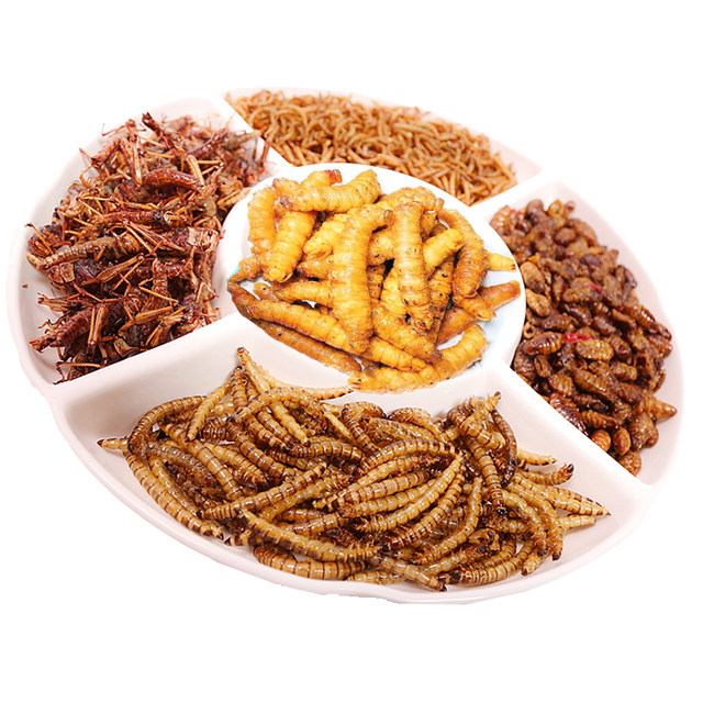 Fried insects, grasshoppers, ready-to-eat silkworm pupae, fresh locusts ...