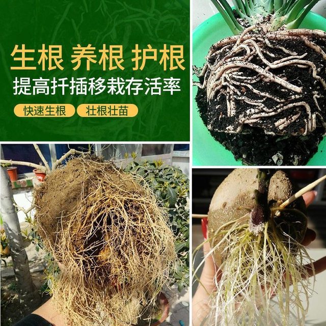 Powerful rooting powder for tree strong roots and strong seedlings ...