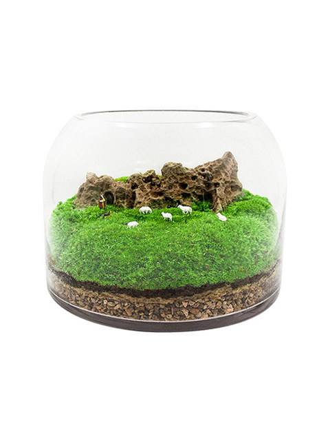 Hats Moss Motor Micro Landscape Ecological Bottle glass tank stuffy ...