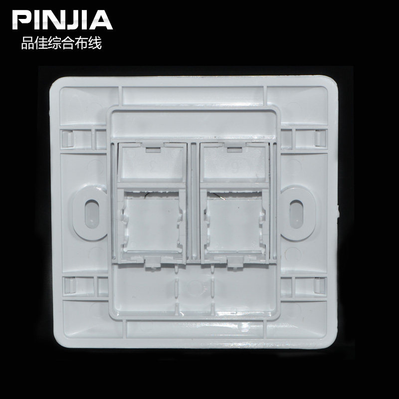 Type 86 Double Port Panel Socket with Voice Information Panel