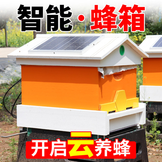New smart bee box YiBee solar-powered beehive box can sense and adjust ...