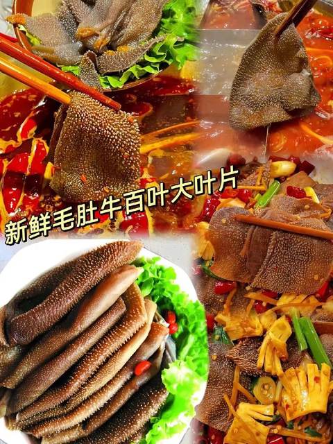 Grade a Large Fresh Beef Tripe 2.5kg Pieces, Fresh Beef Tripe for ...