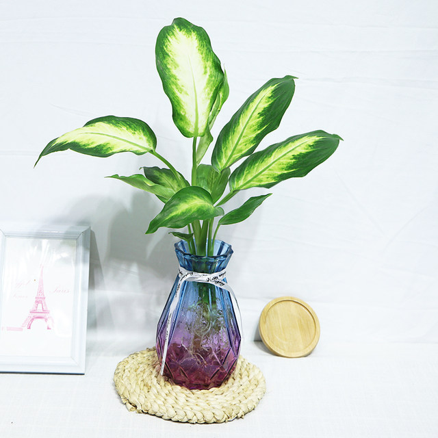 Pothos potted indoor flowers and green plants iron frame art creative ...