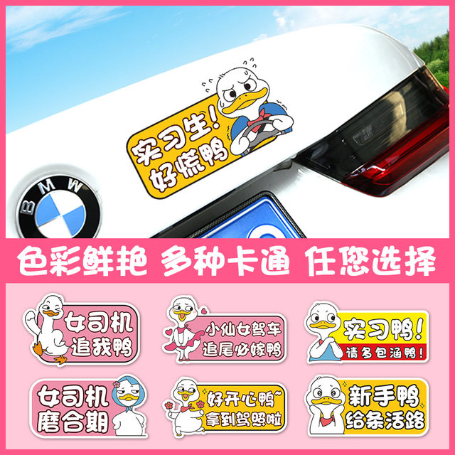 Novice on the road internship period car stickers female driver cute ...