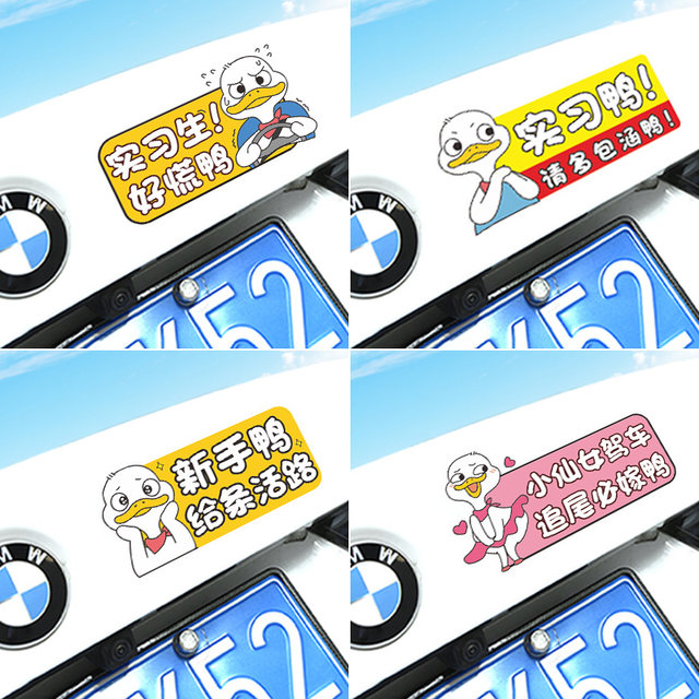 Novice on the road internship period car stickers female driver cute ...