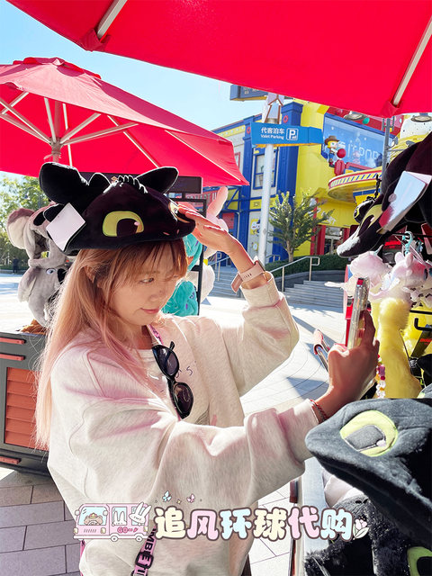 Beijing Universal Studios Purchasing Agent for How to Train Your Dragon ...