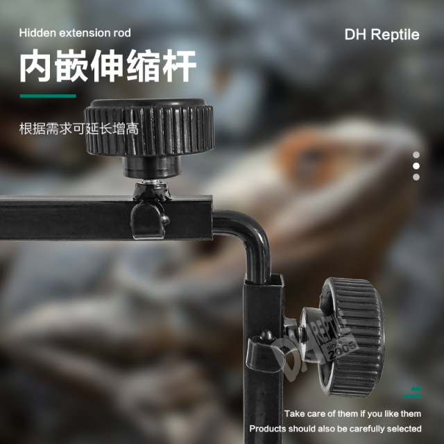 Reptile, tortoise, lizard, succulent plant, metal floor hanger ...