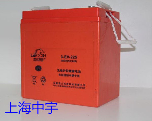 LECOH Richard New Energy Electric Vehicle Sightseeing Vehicle Special ...