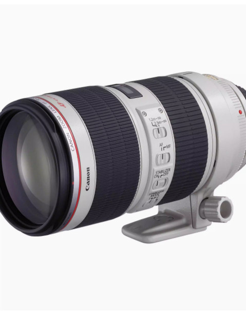 Canon/Canon 70-200 2.8 F4 IS Little White Rabbit Anti-Shake Telephoto ...