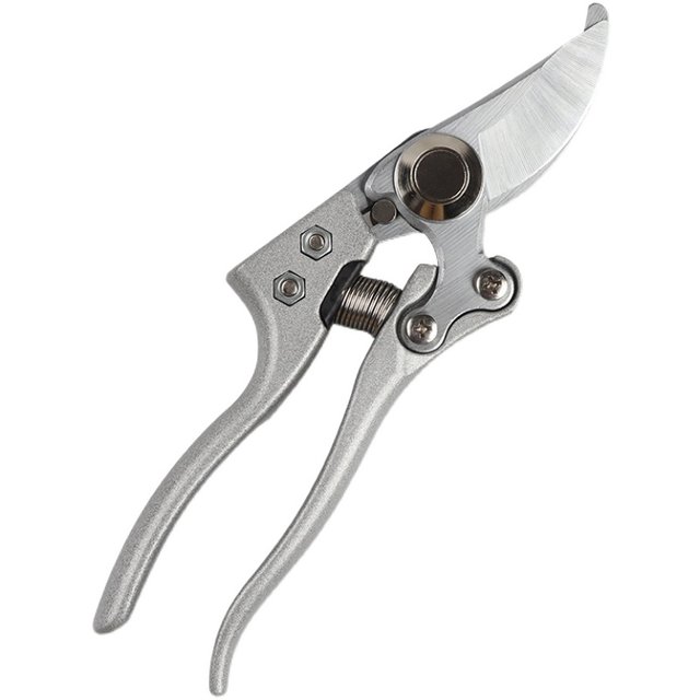Powerful branches Cut stainless steel garden scissors and fruit tree ...
