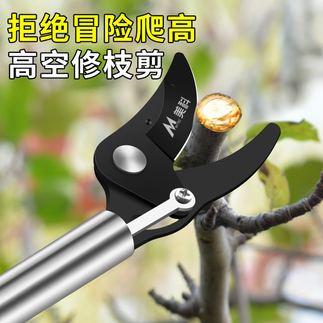High branches, high -altitude scissors dedicated scissors, extended ...