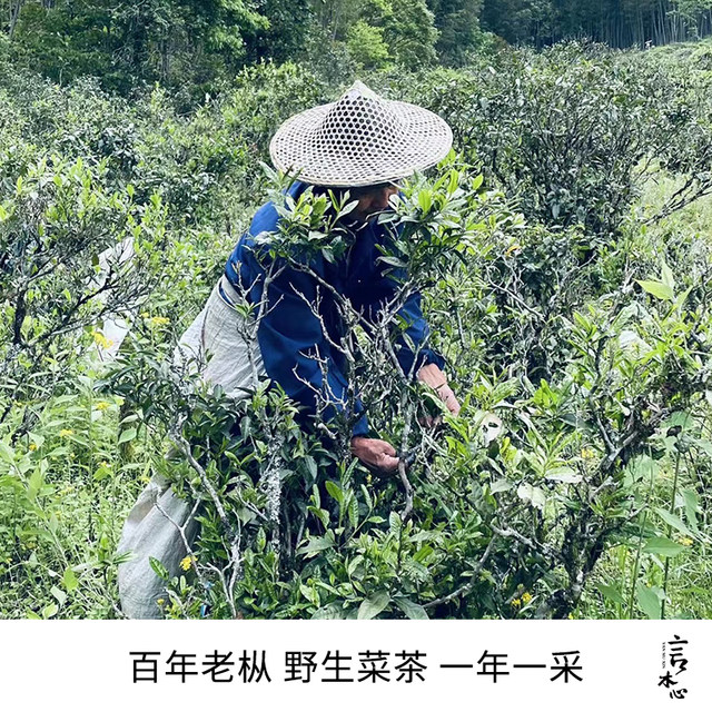 Yanmu Xin Lao Cong Black Tea Tongmu Guan Ma Su Lapsang Souchong Woody ...