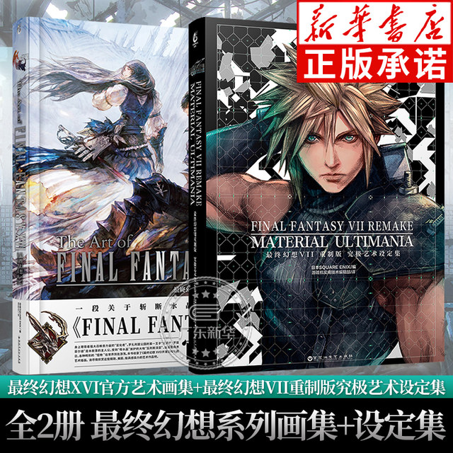 Final Fantasy series of painting set sets 2 volumes of final fantasy ...
