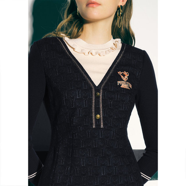 PSALTER poetry winter fashion slim v-neck wool dress