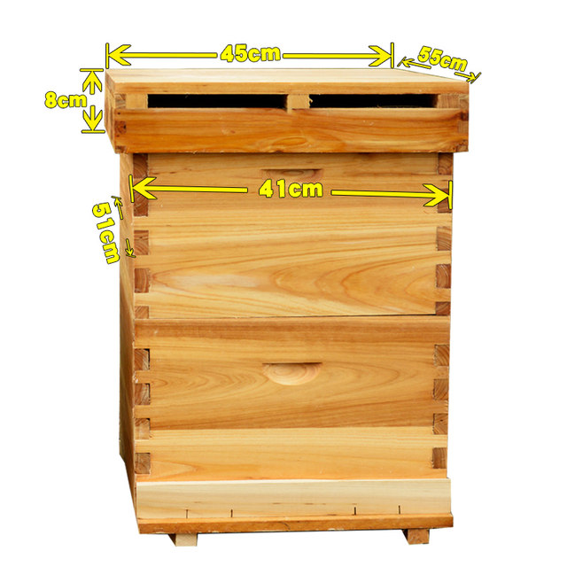 Beehive high box standard Italian bee double king complete set of ...