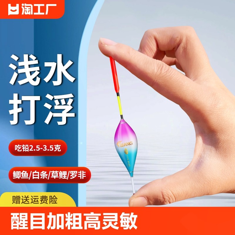 Special-Purpose Float for Shallow Water - Small Short Fish Float, Eye ...